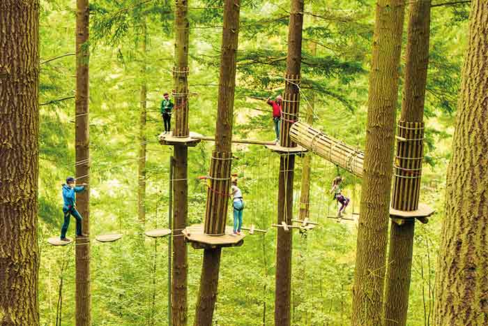 go ape buxton large corporate family - Ashbourne Self Catering
